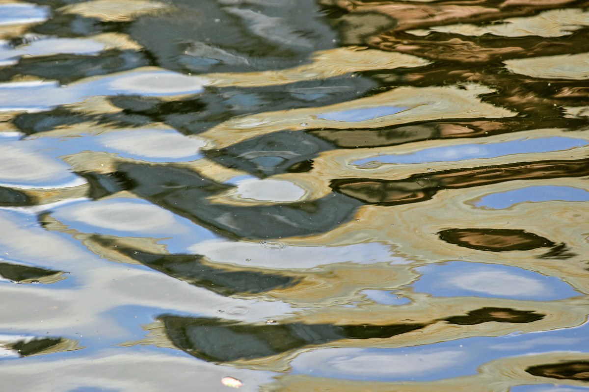 Abstract Reflection Shapes Part 2 – Seashorepics